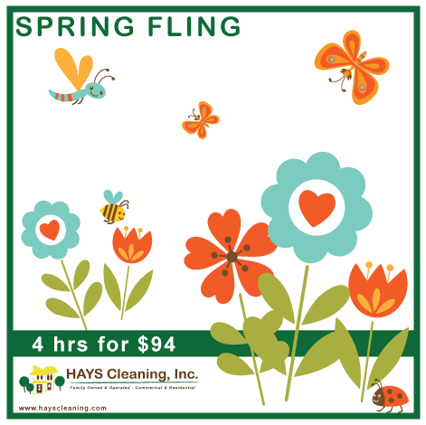 Spring Fling – 4 hrs of cleaning for $94